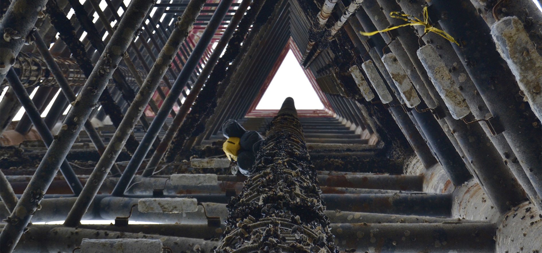 Rope access | Offshore platforms | Oil and Gas Sector | RT9